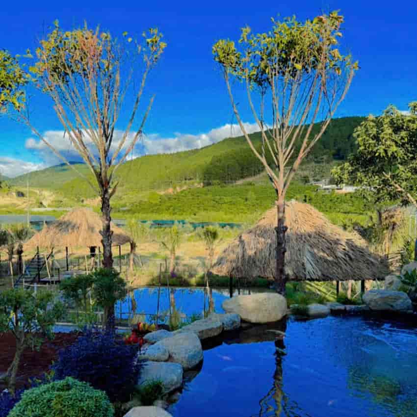 Bán đất xã Tà Nung Đà Lạt 1151.45m2